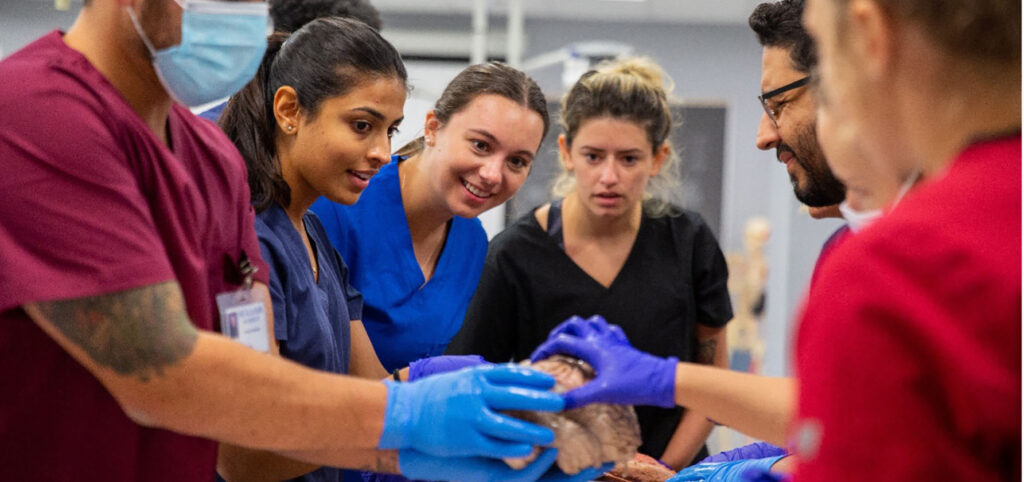 Moravian DPT Students Visit Anatomy Lab – Moravian University News